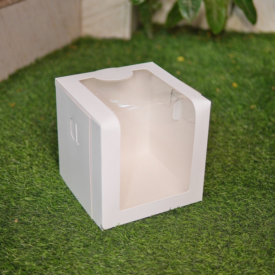 WINDOW BOXES – The Cake Case Company