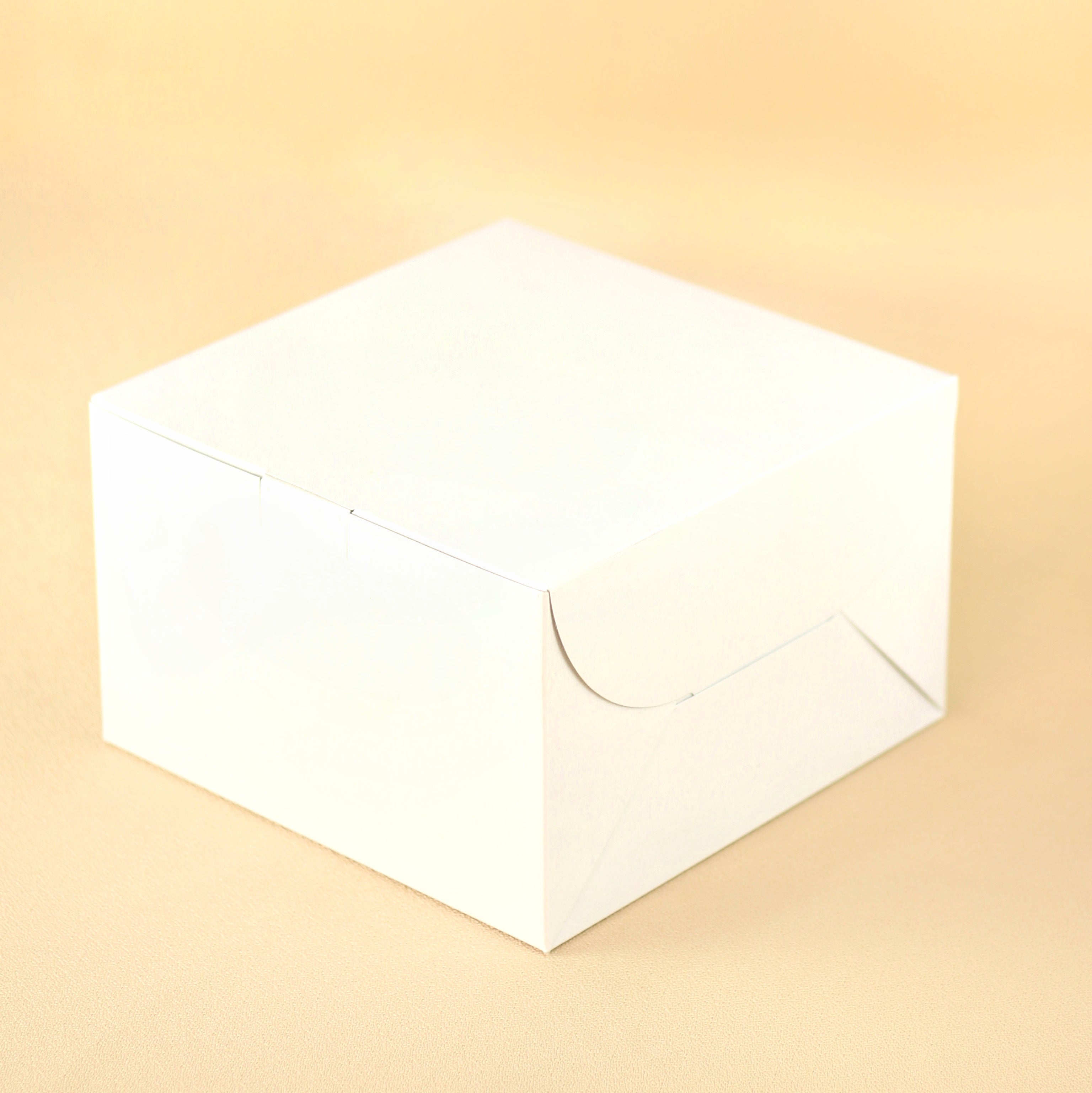 WHITE CAKE BOX – The Cake Case Company