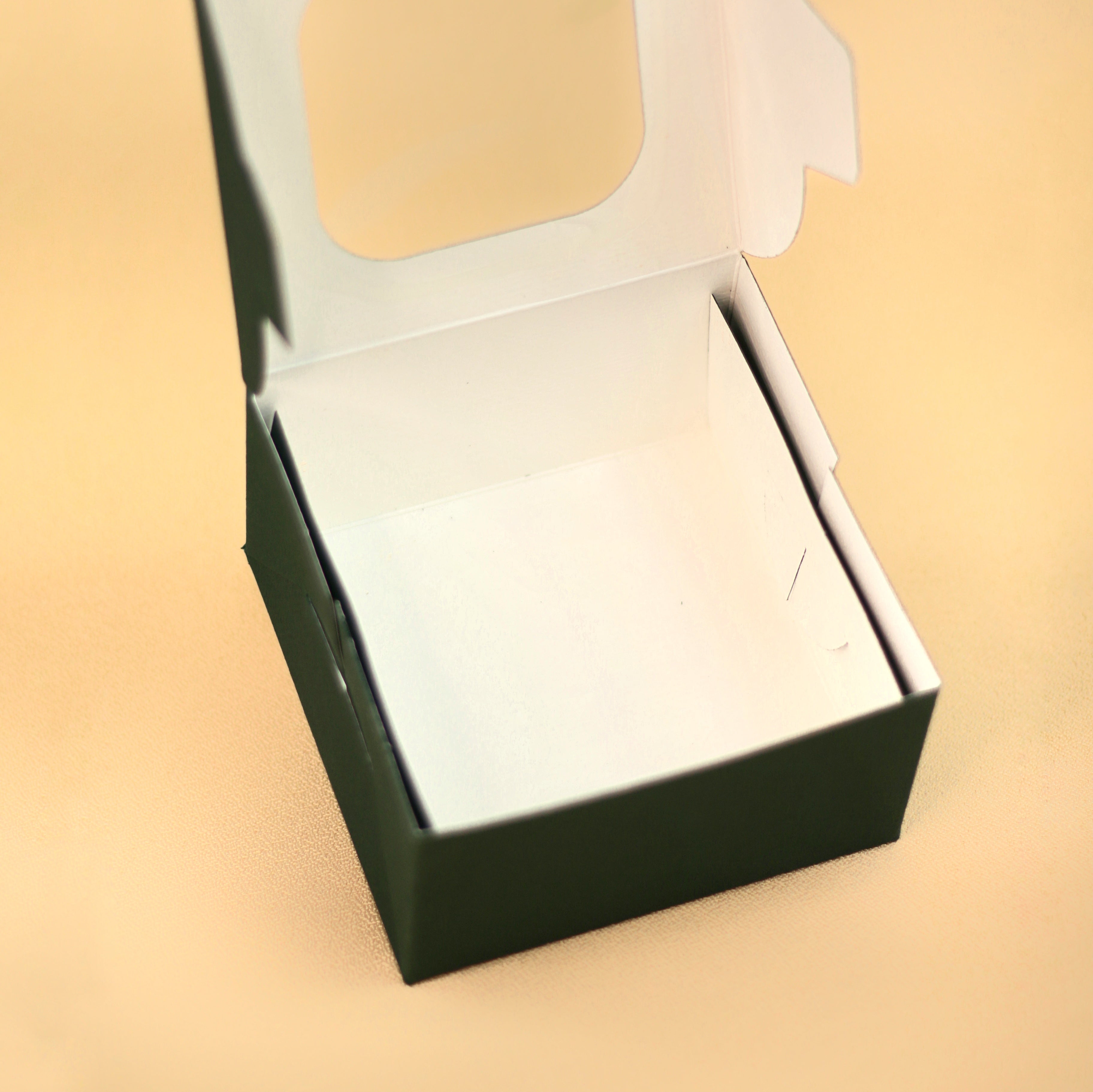 MINI CAKE BOX – The Cake Case Company