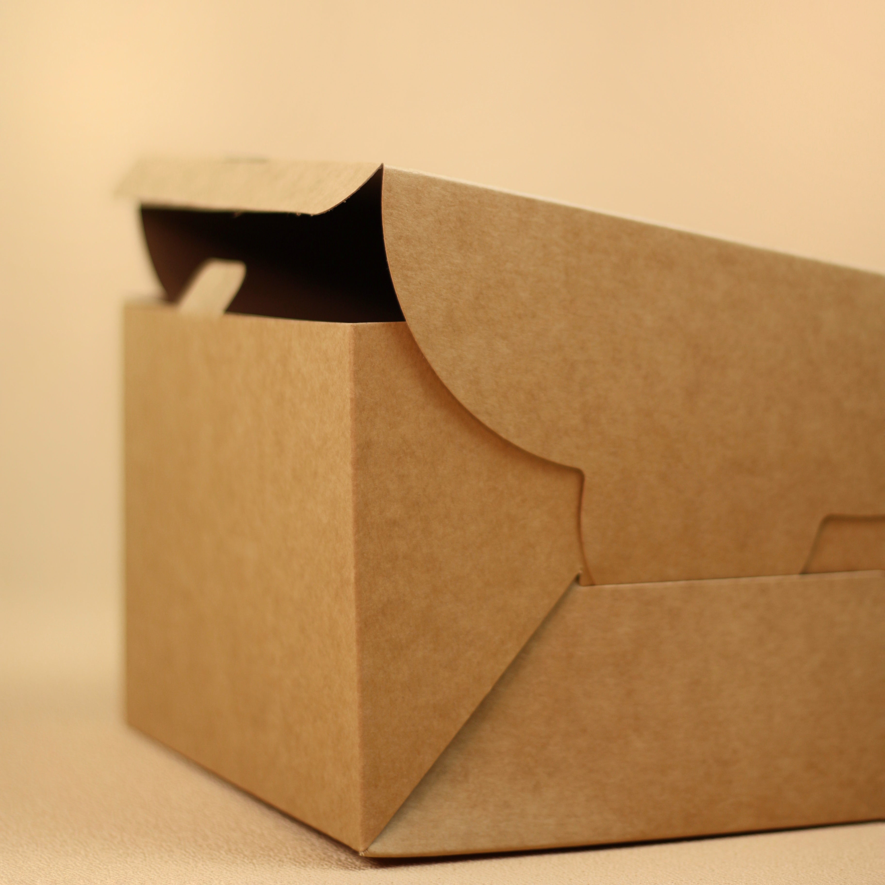 KRAFT CAKE BOX – The Cake Case Company