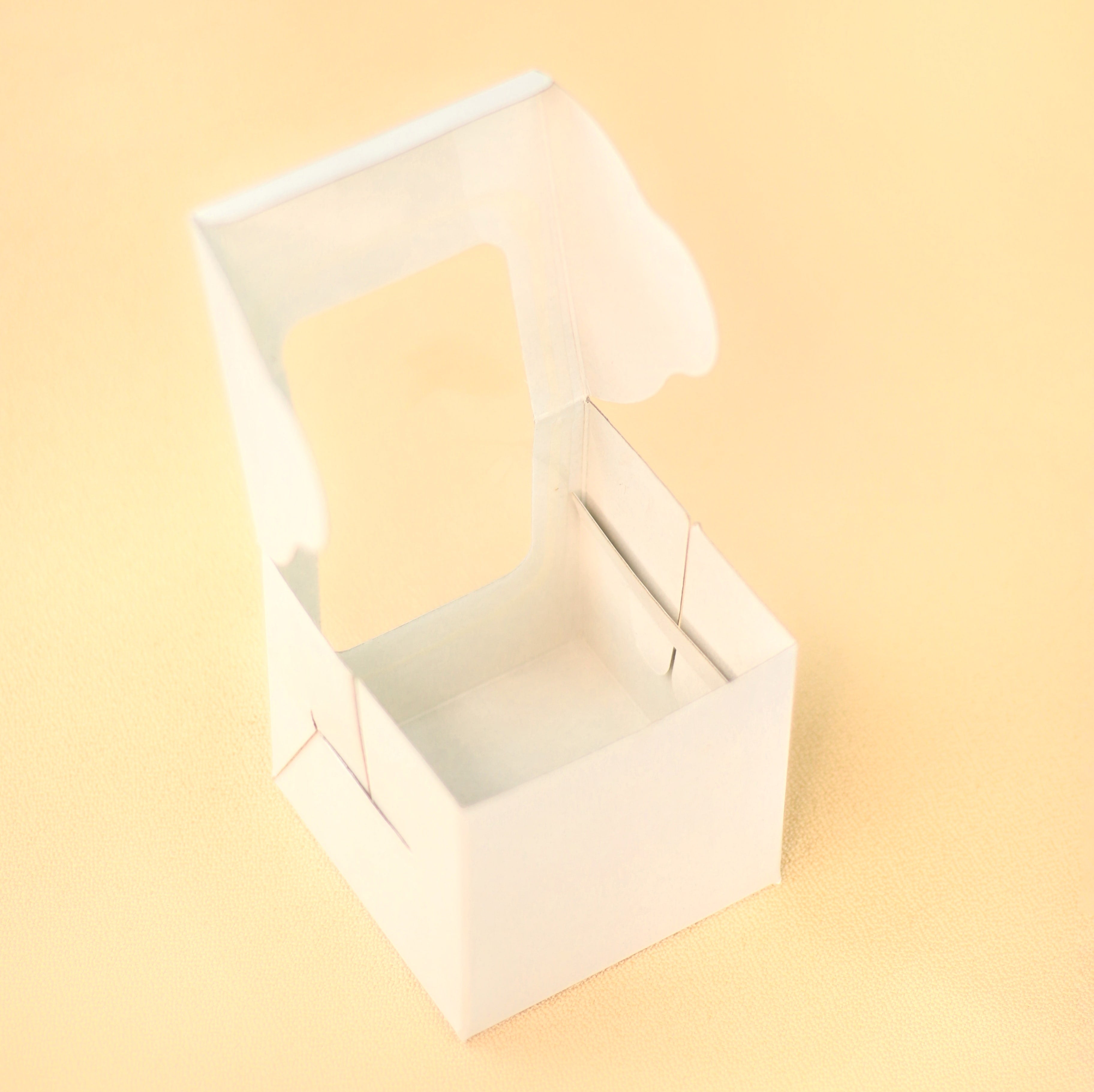 SINGLE PC PASTRY BOX – The Cake Case Company