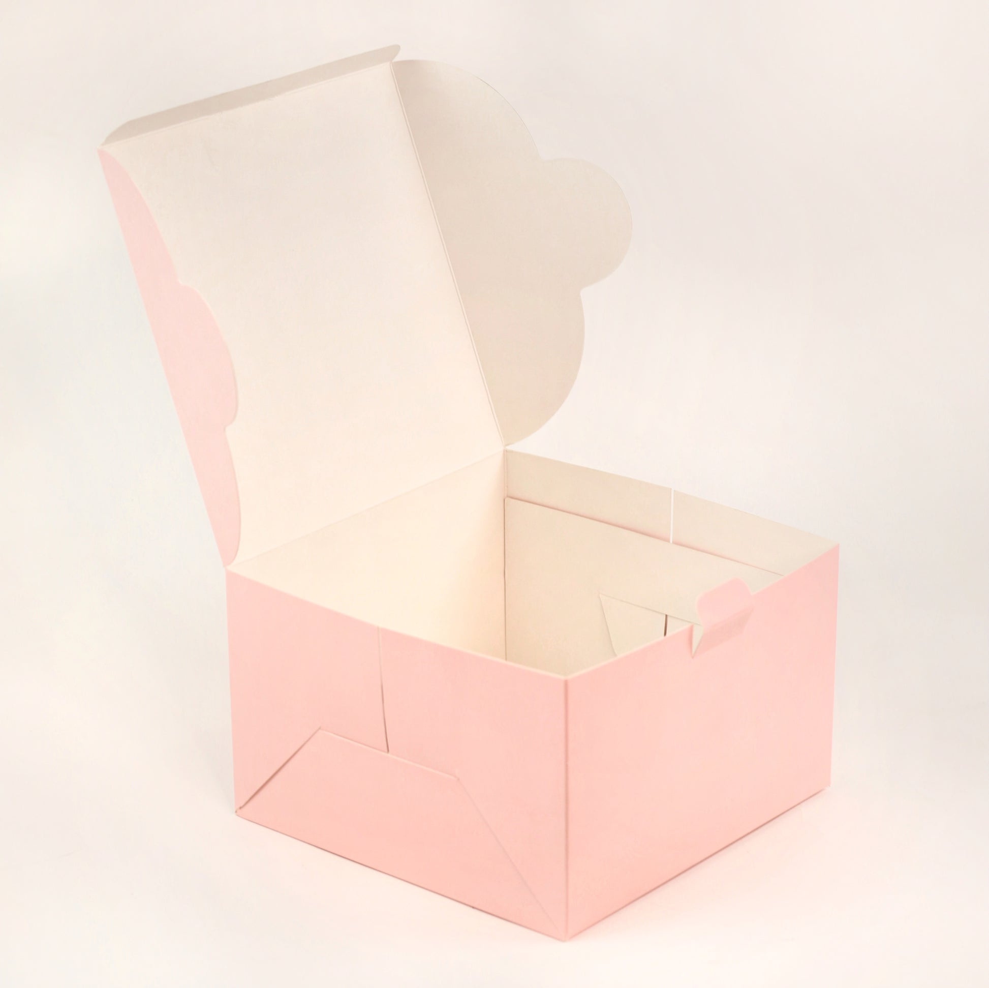 BABY PINK CAKE BOX – The Cake Case Company
