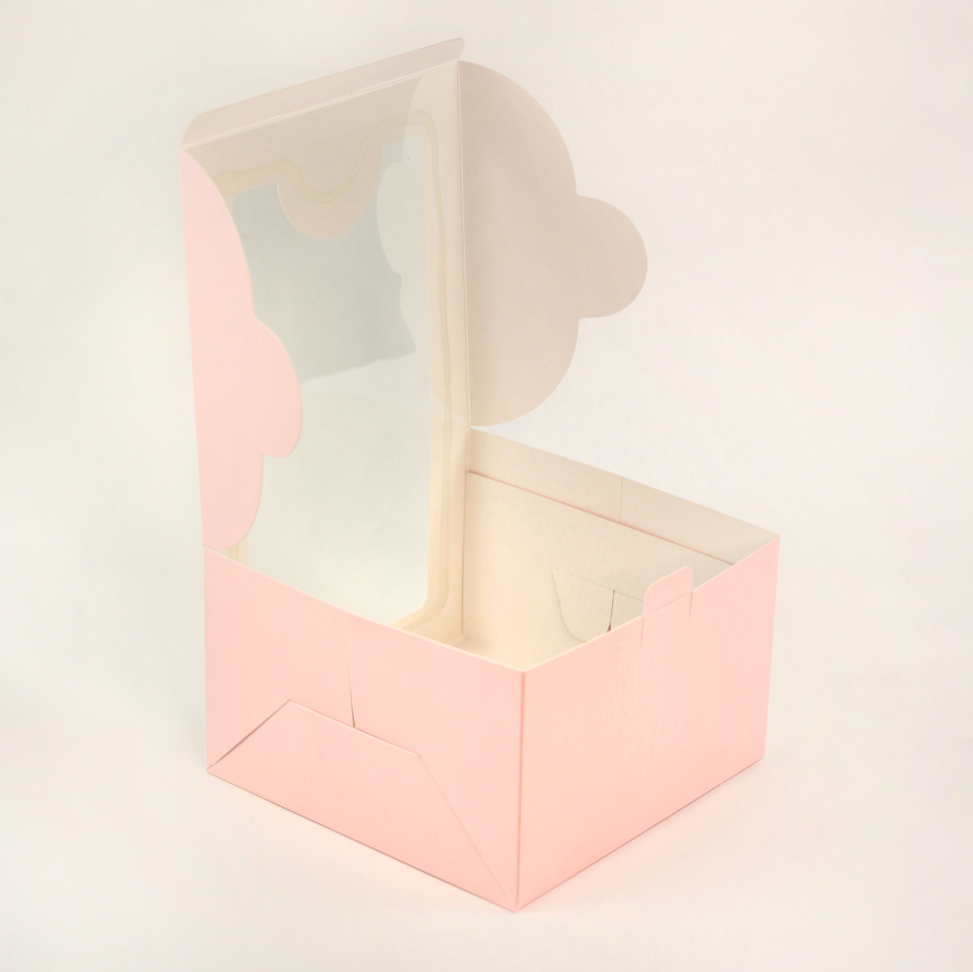 1 KG DUAL WINDOW CAKE BOX – The Cake Case Company