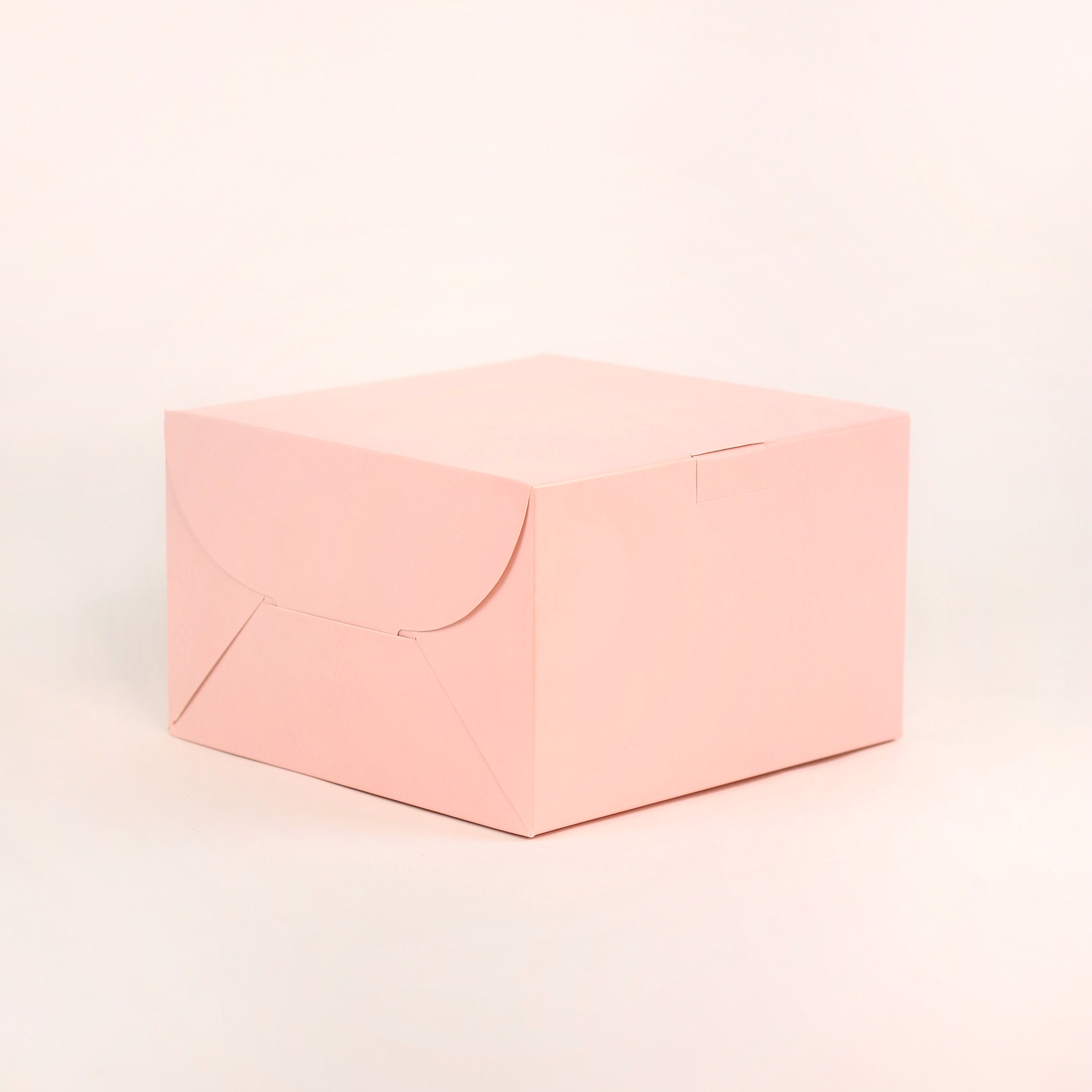 1 KG CAKE BOX | 10 x 10 x 5 inches – The Cake Case Company