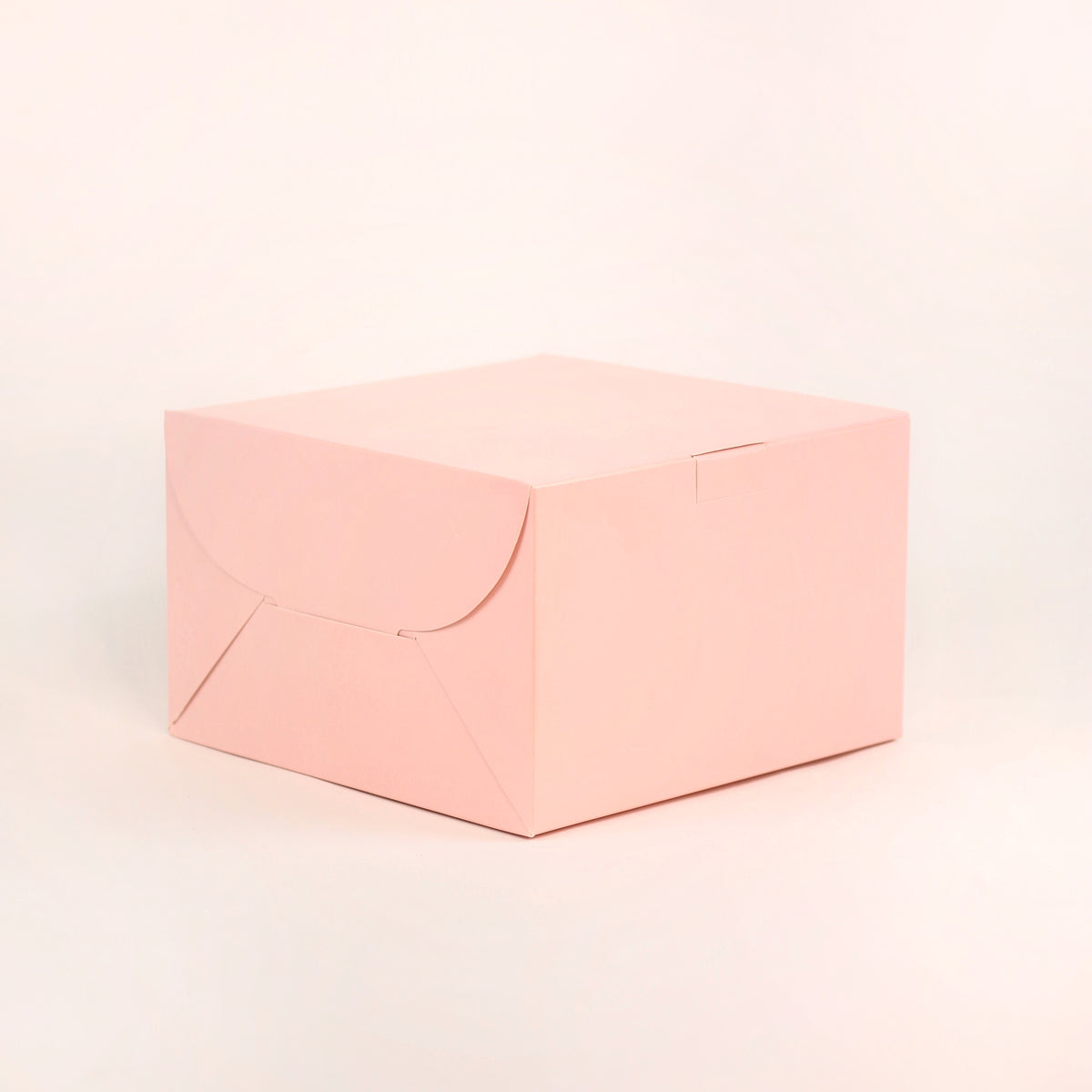 HALF KG CAKE BOX – The Cake Case Company