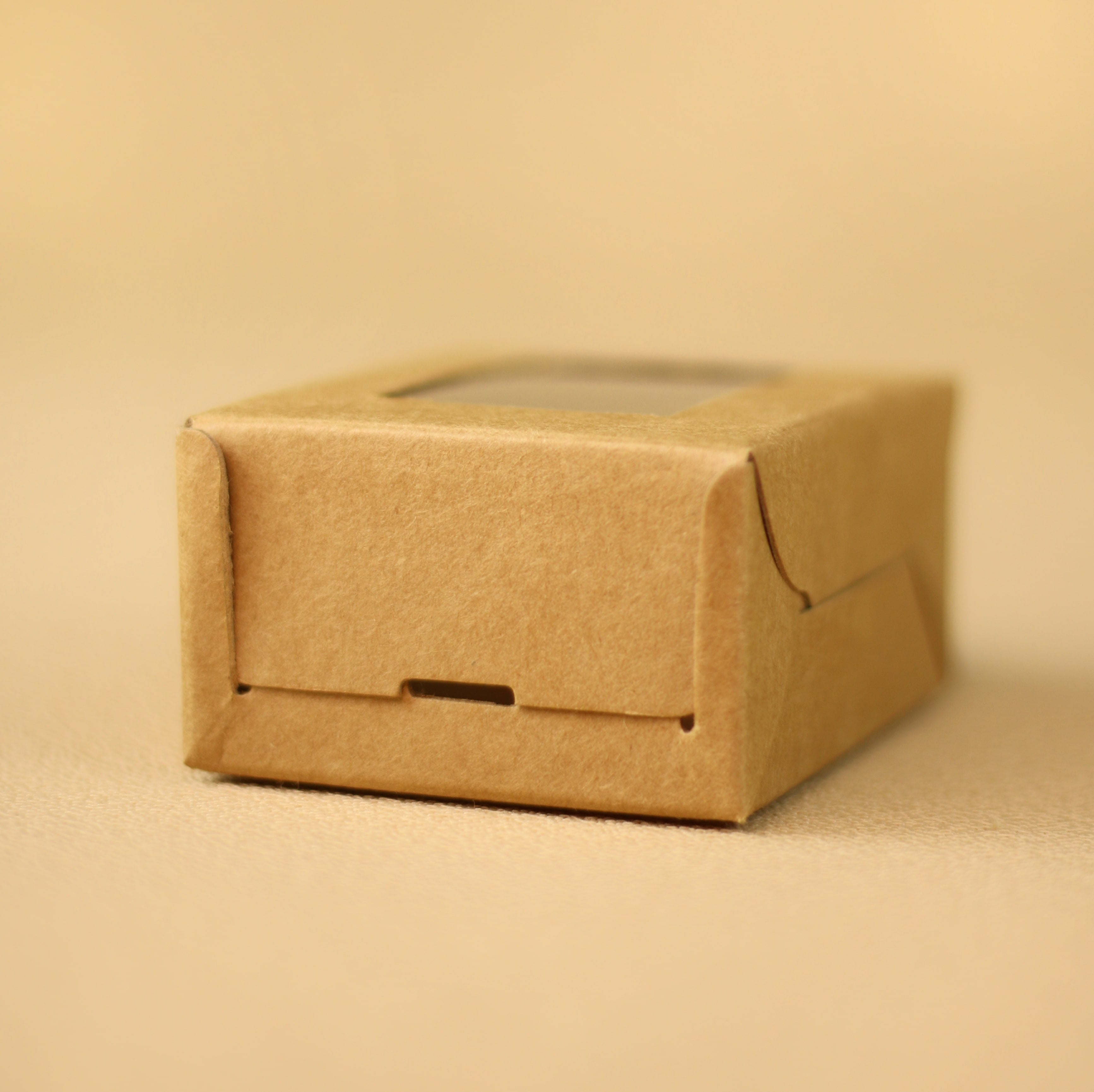 CAKESICLE WINDOW BOX – The Cake Case Company