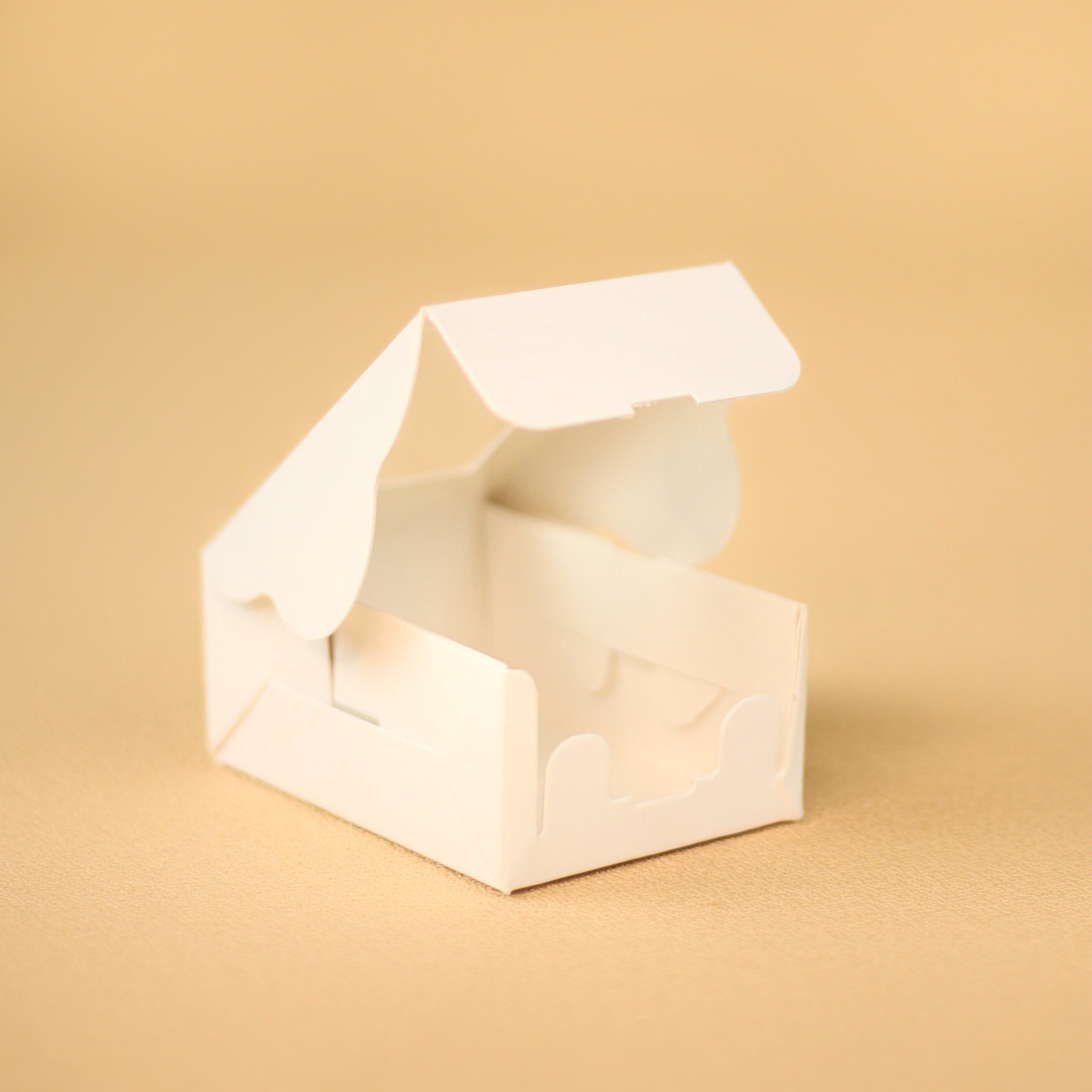 CAKESICLE WINDOW BOX – The Cake Case Company