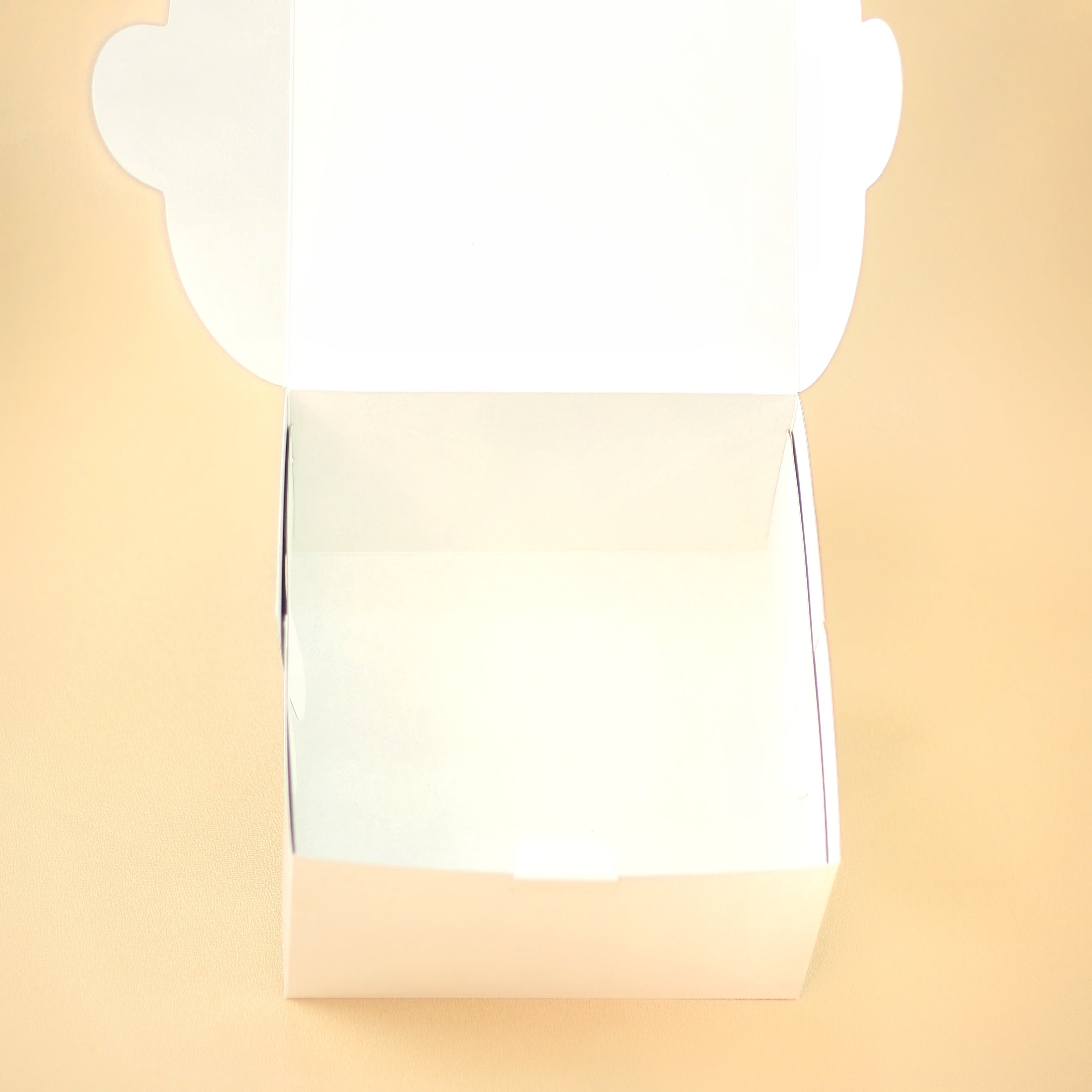 HALF KG CAKE BOX – The Cake Case Company